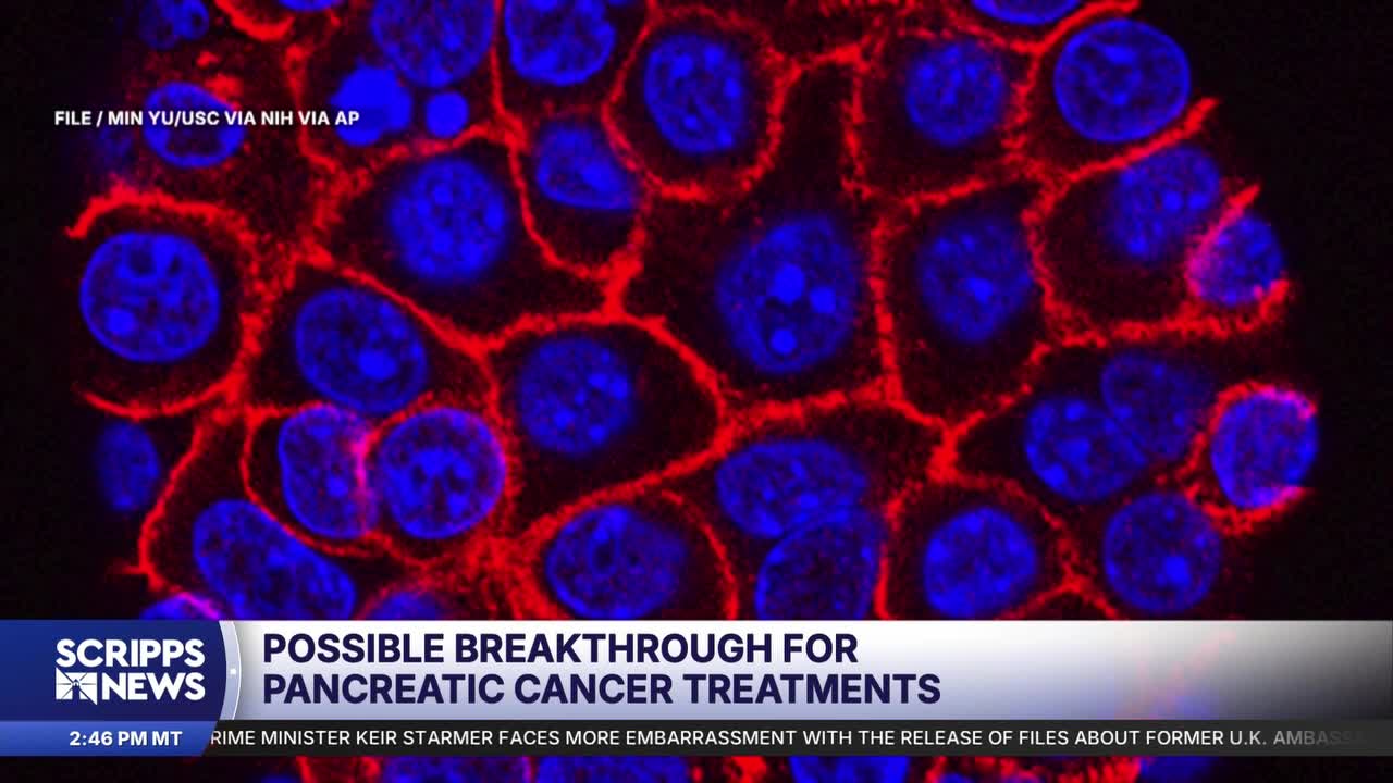Breakthrough pancreatic cancer drug nearly doubles patients' survival