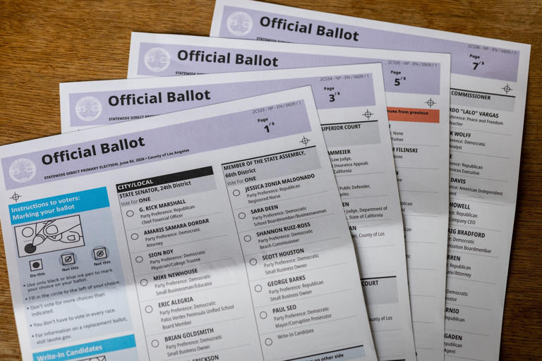 Voter interference probes launched after ballots found torched in LA ...
