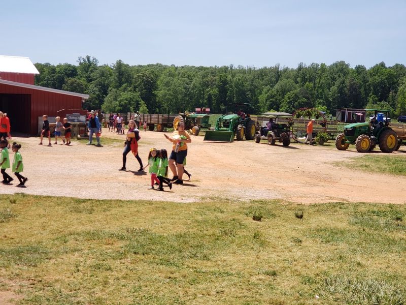 The stunning North Carolina farm where you pick your own berries and ...