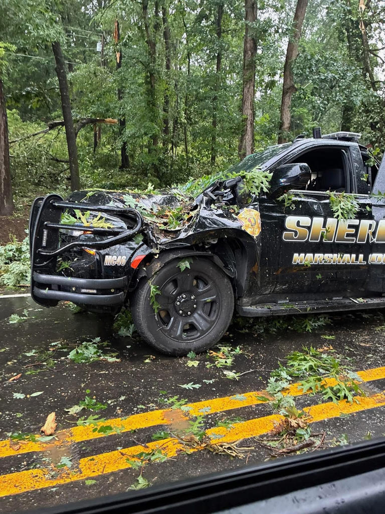 Marshall County deputy expected to be OK, K-9 unhurt after trees hit ...