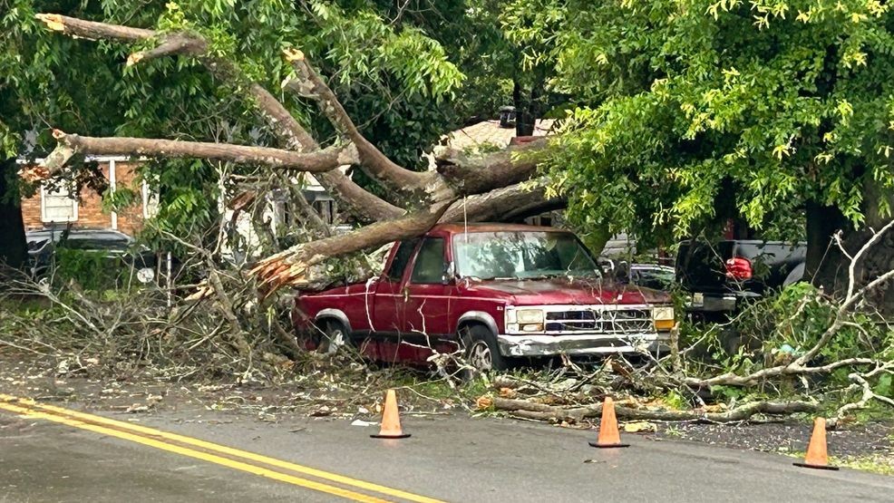 Storms cause downed trees, power outages, hazardous roadways across ...