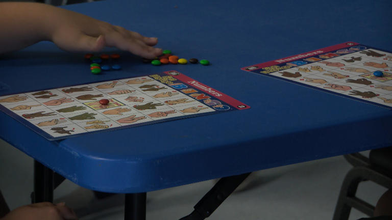 Summer camp teaches kids American Sign Language