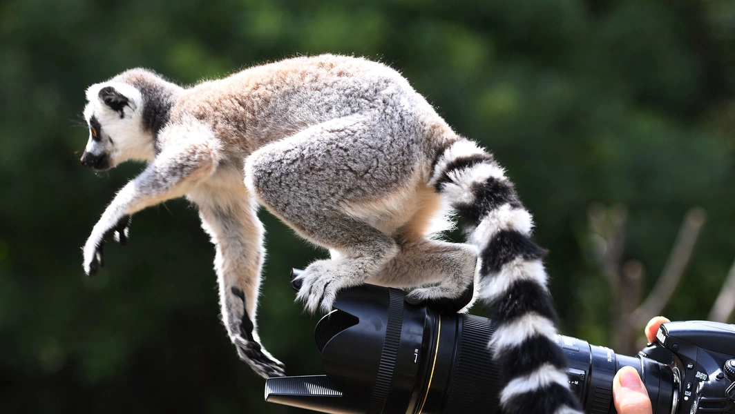 15 perfectly timed photos that create stunning illusions