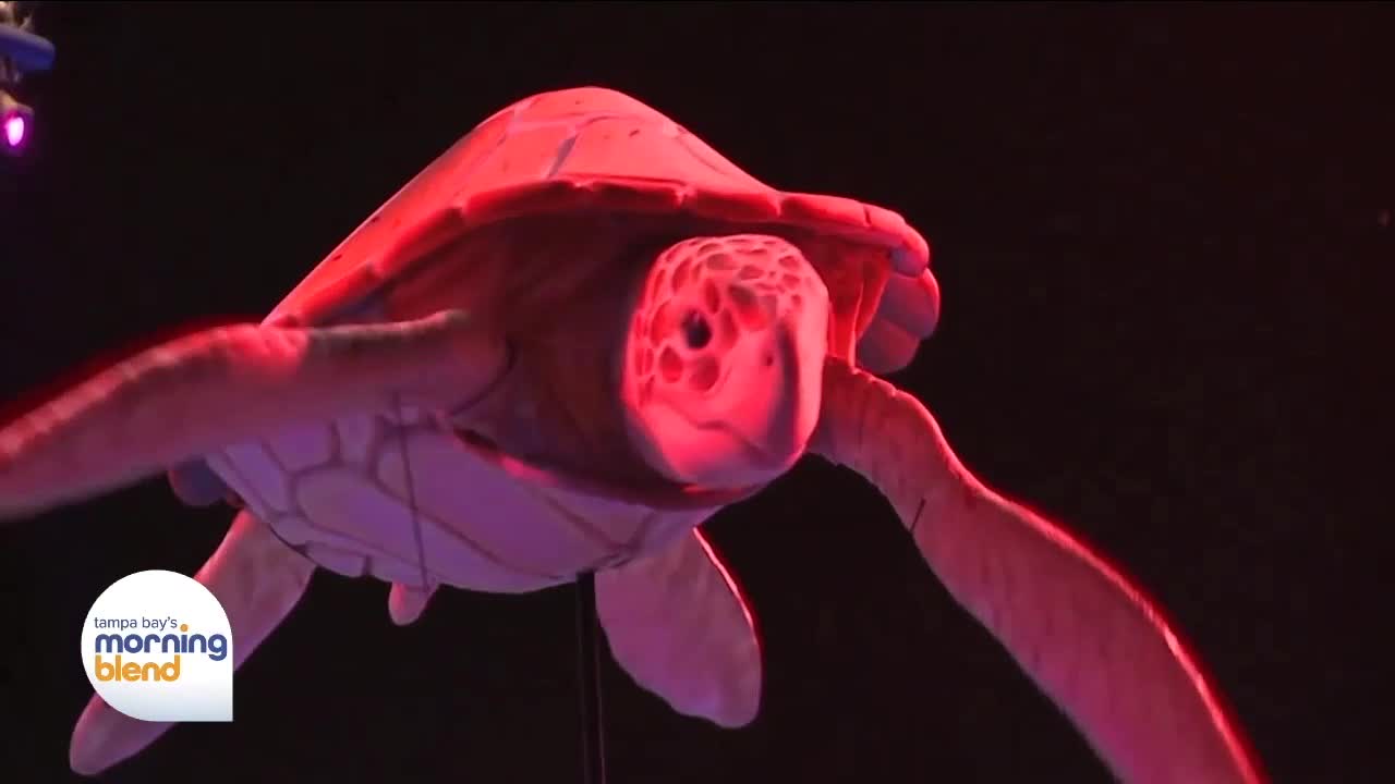 SeaWorld | Morning Blend