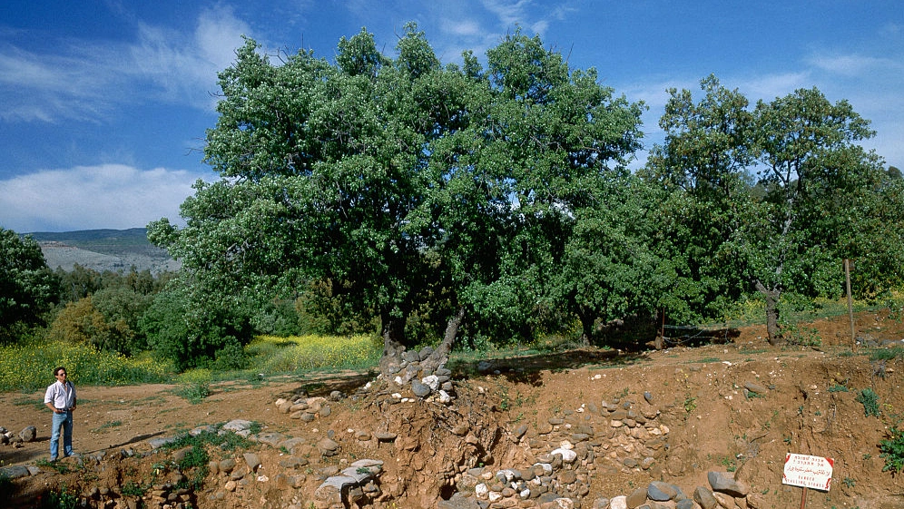 Archaeological and historical evidence for Jesus and biblical events