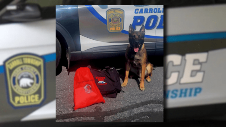 Nonprofit donates medical kit for York County K-9