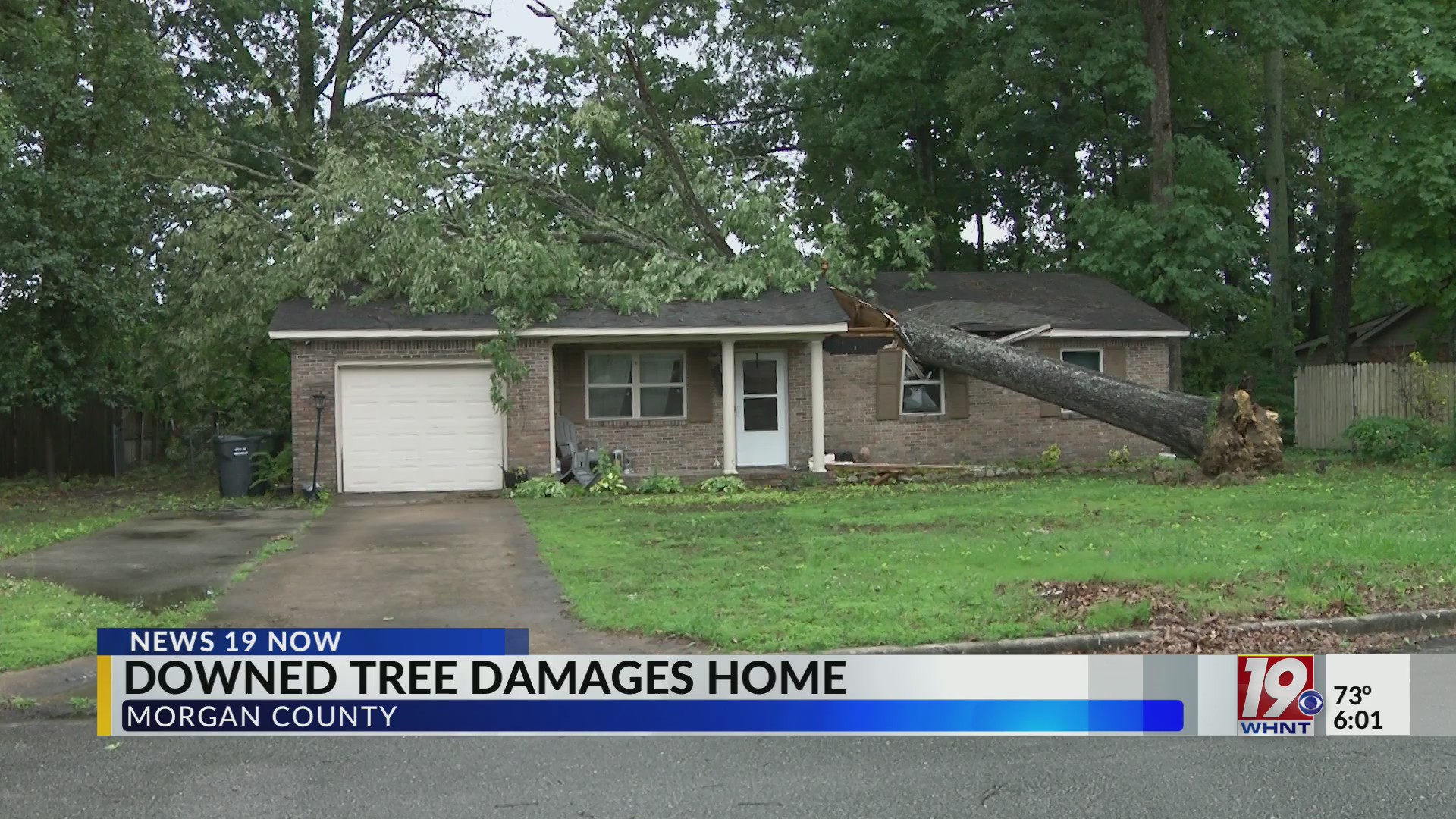 Downed trees cause damage in Morgan County | June 1, 2026 | News 19 at ...