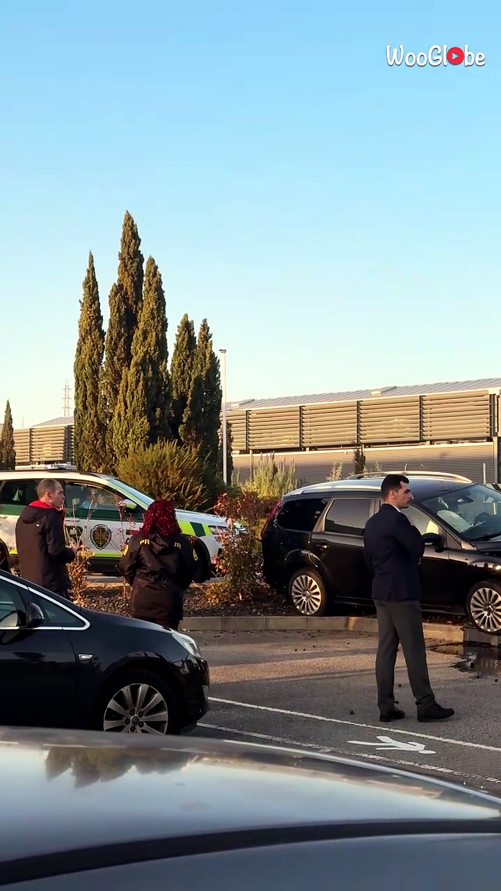 Car hits tree at Vila Do Conde Fashion Outlet during Crazy Thursday sale