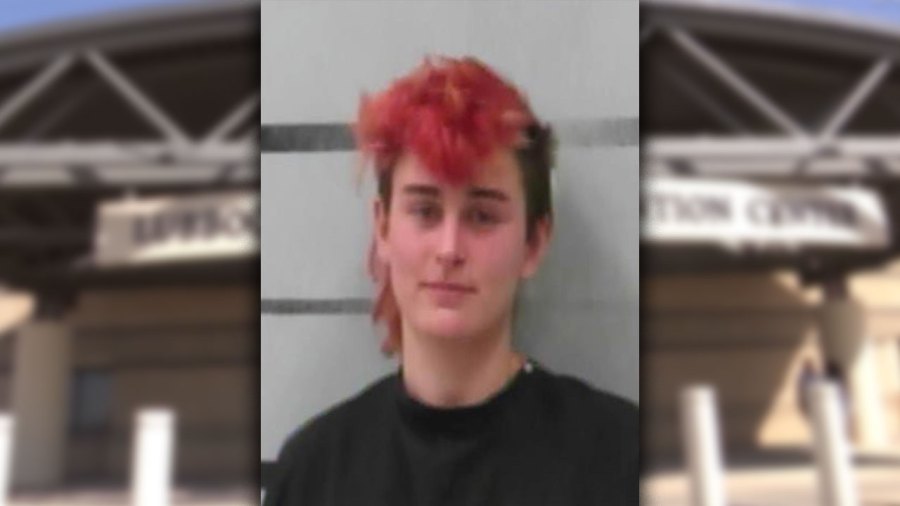 Lubbock woman indicted for creating, distributing bestiality material