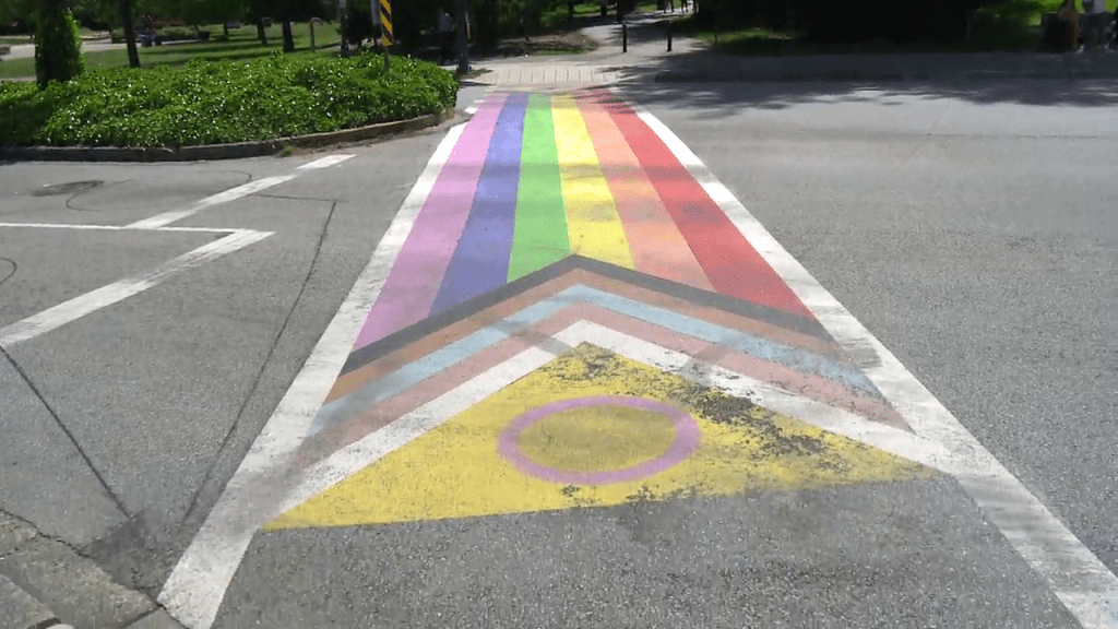 Would-be politician takes responsibility for defacing Surrey Pride ...