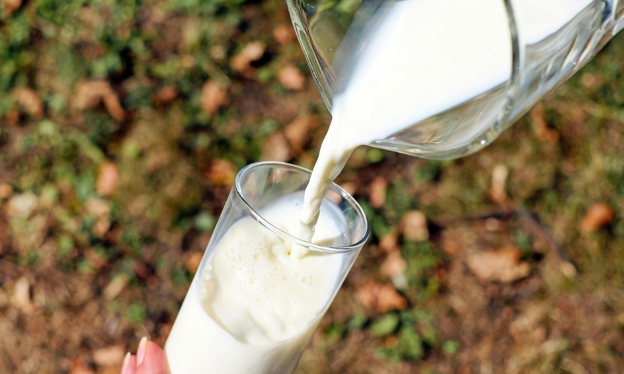 La conversación sobre la leche que México necesita recuperar