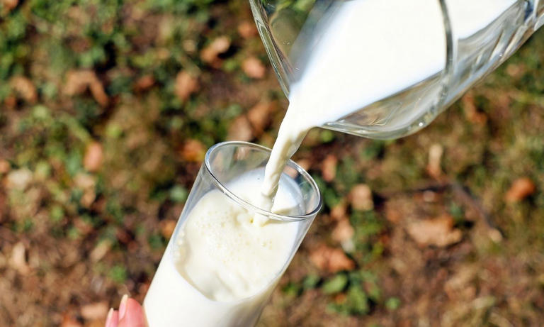 La conversación sobre la leche que México necesita recuperar
