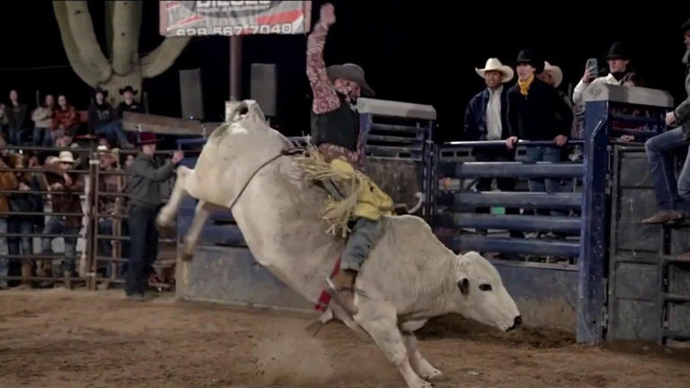 Professional bull rider killed in Mesa motorcycle crash at dangerous ...