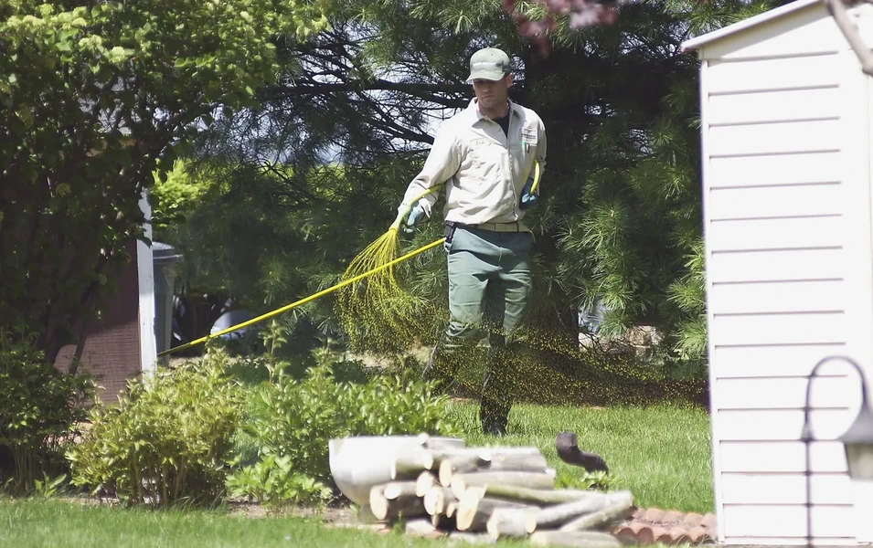 Smart lawn care tips for year-round green grass