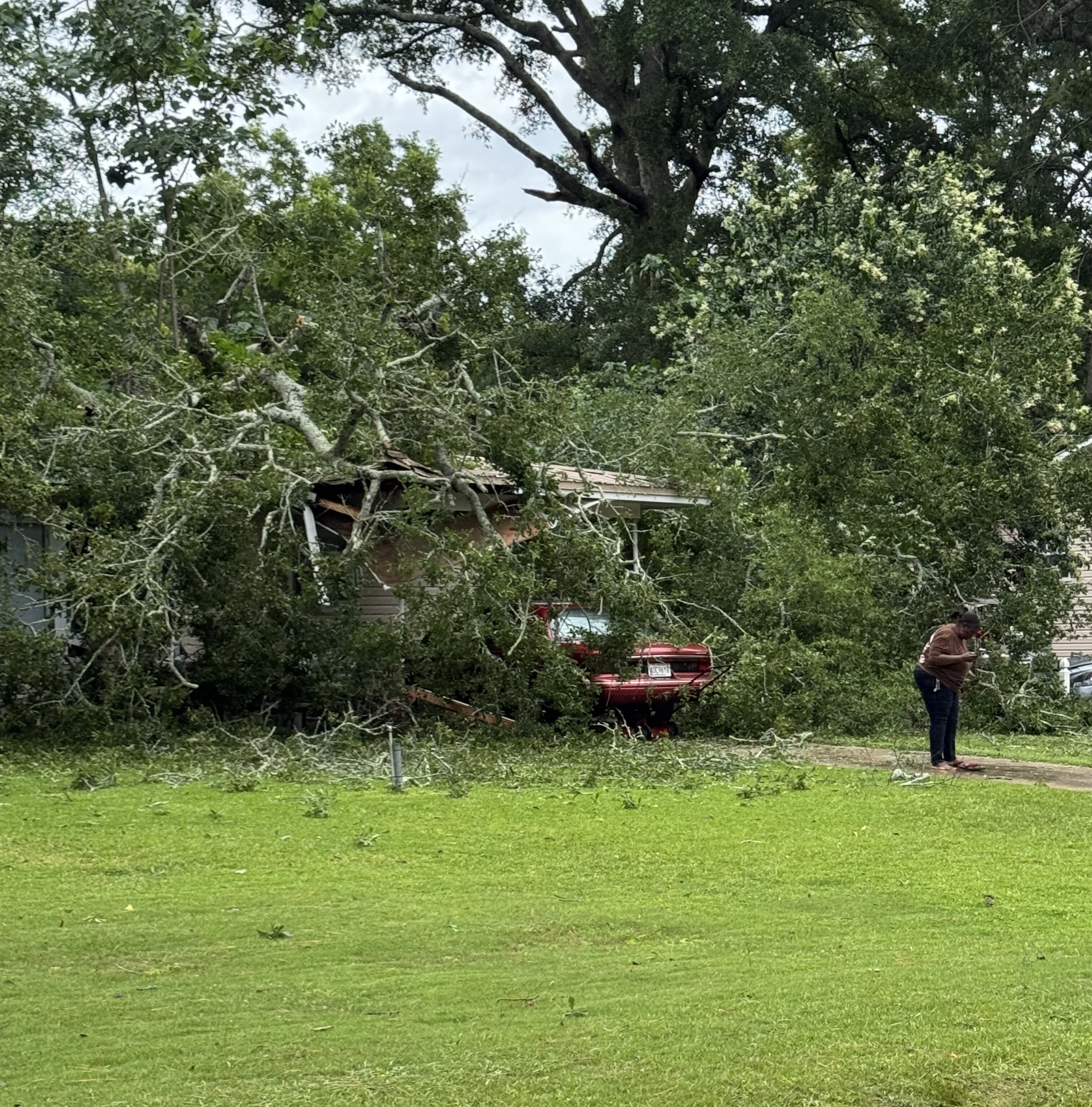 Falling trees and down powerlines as storms deal early week blow