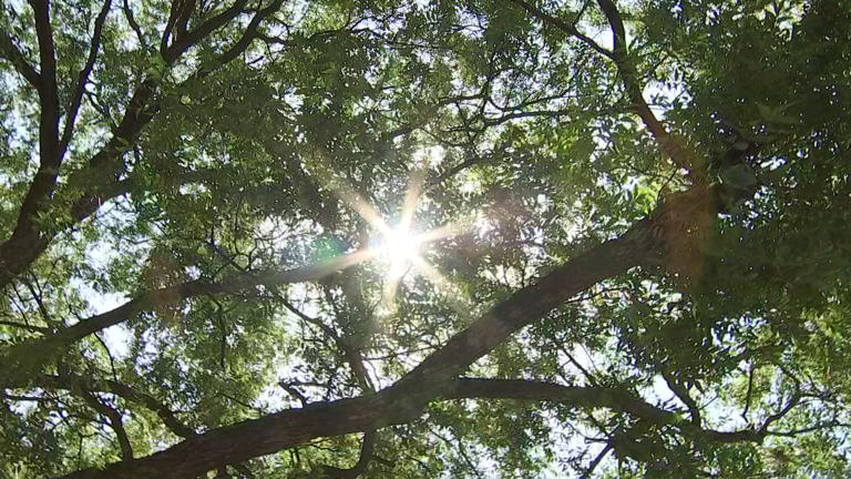 Helpful reminders to save on utility bills during warmer summers