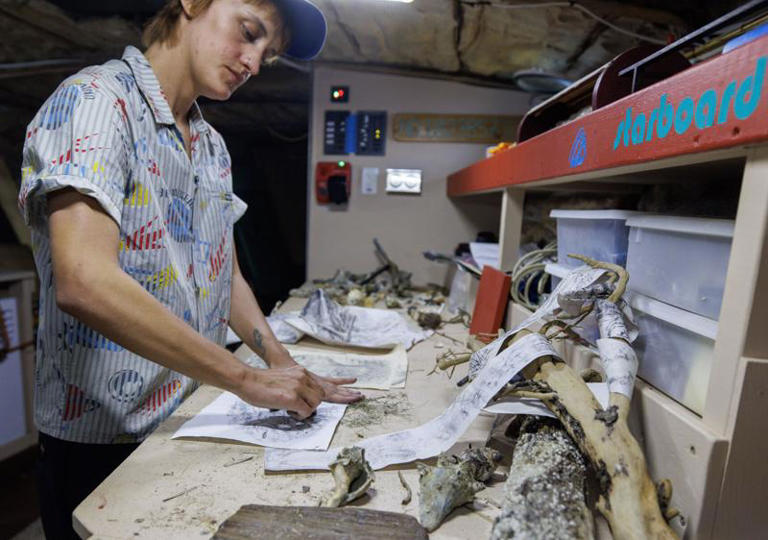 Have you seen the art boat in Charleston's waterways? More about the ...