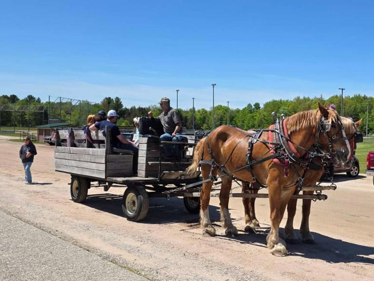 Benzie GOP hosts first responders, families at community picnic