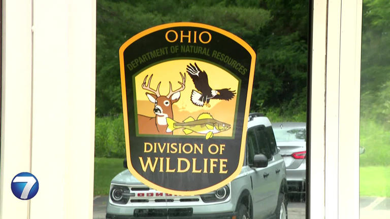 Man hospitalized after being bitten by snake in Greene County