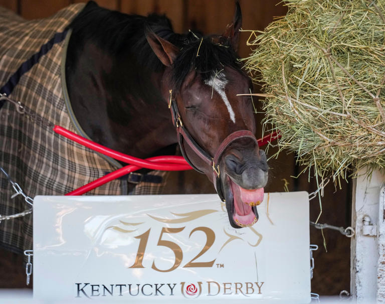 Kentucky Derby winner Golden Tempo isn't the favorite for Belmont Stakes