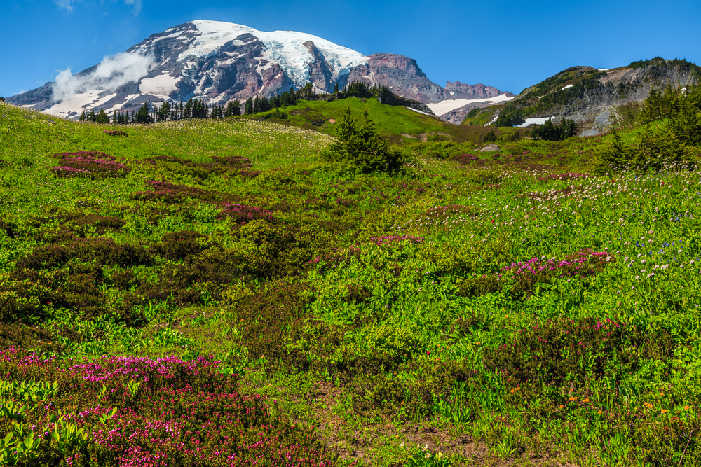 13 early summer hiking trips with wildflowers, waterfalls, and mild weather
