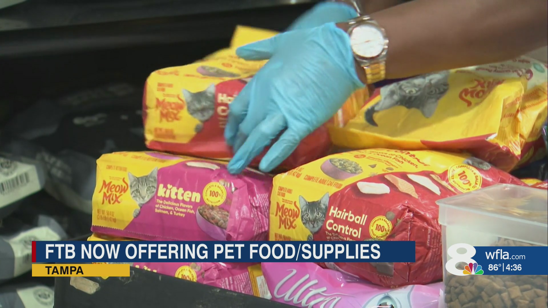 Pet food and supplies now consistently available at Feeding Tampa Bay