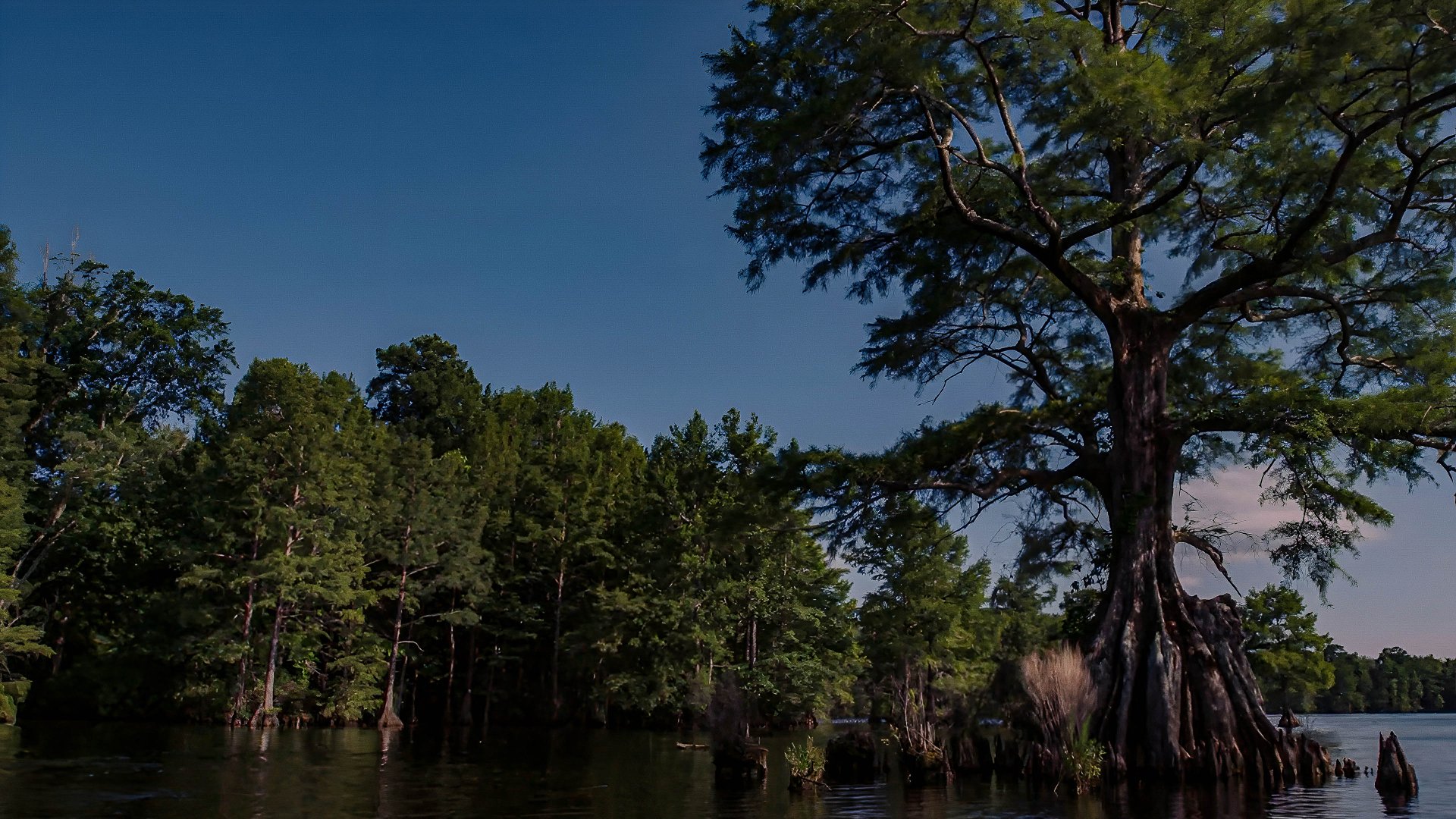 Inside the Great Dismal Swamp, hidden communities of resistance