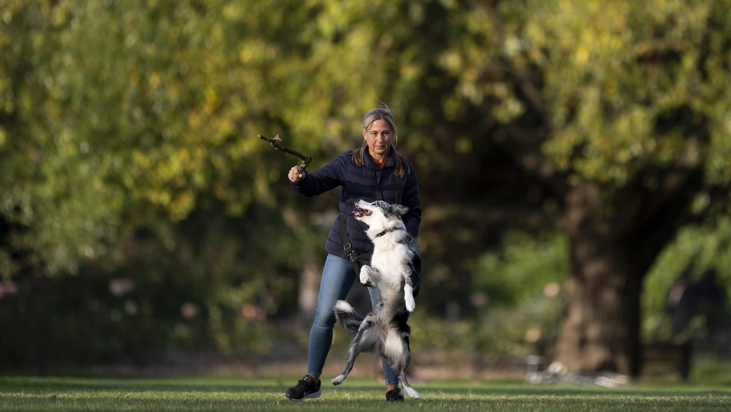 19 things your dog never forgets