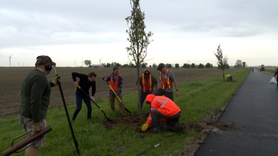 Friends of Constitution Trail enhance trail with tree planting