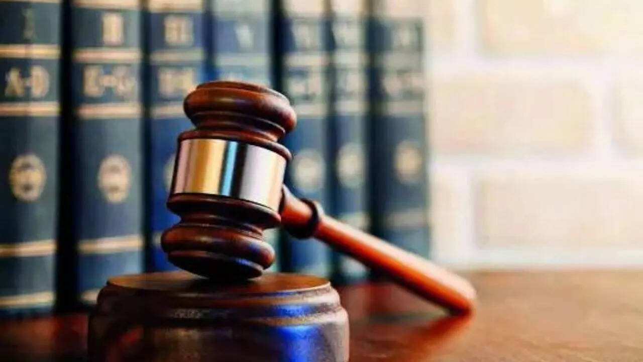 If you chop off a limb, people will follow law: Karnataka HC