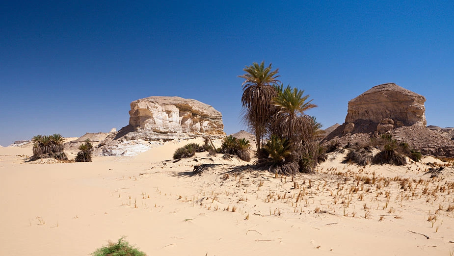 Rare zircon find intensifies debate over King Tut's 'alien glass'