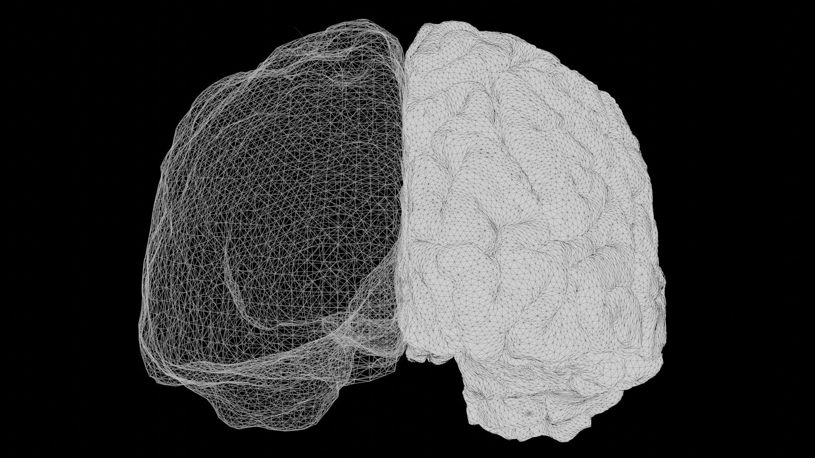 New brain scans prove they were like us