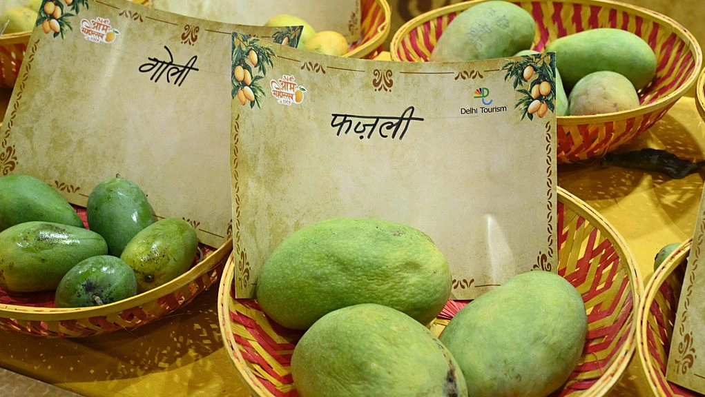 San Francisco mango party celebrates Indian Alphonso and Kesar varieties