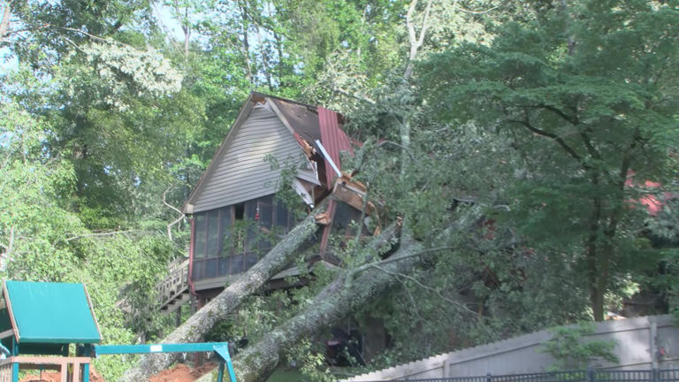 Several Limestone Co. homes damaged after strong winds knock trees over