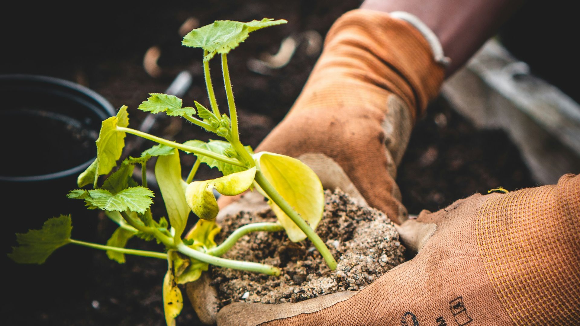 20 health habits for people who want to garden without wrecking their back