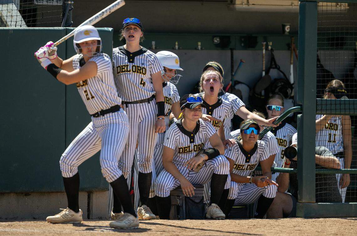 DCA is No. 1 seed in CIF softball NorCal, Roseville top baseball seed ...
