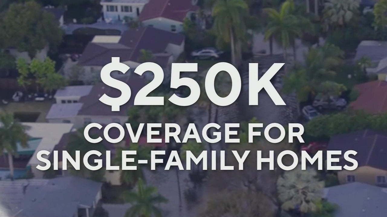 Flood insurance in Florida: Why experts say waiting until a storm is ...