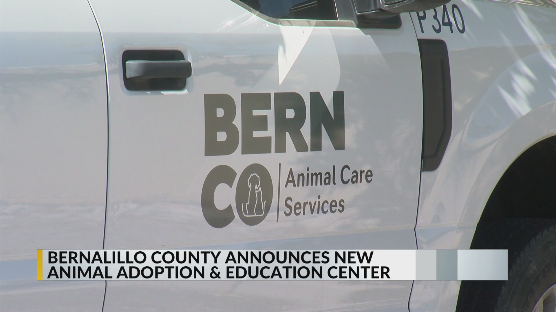 Bernalillo County to expand animal care services with purchase of ...