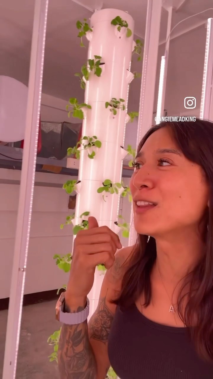 Update on our vertical rooftop farm