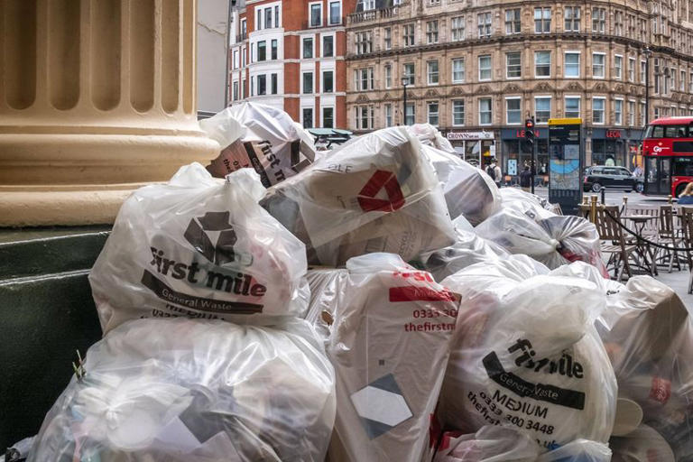 Soft plastics you should never put in your recycling bin — what to do ...