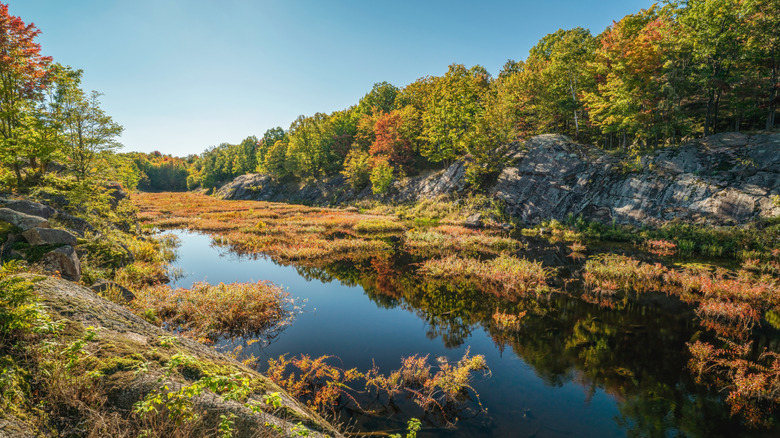 Between Toronto and Ottawa is Canada's gorgeous park with scenic ...