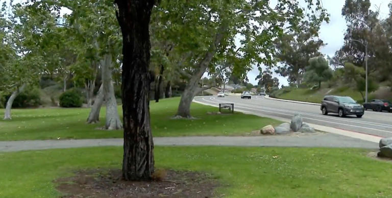 Grisly details emerge over fate of California Army vet who confronted ...