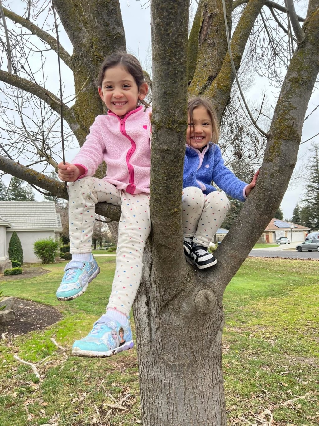 Adorable twin girls, 4, are killed in horrific car crash on the way to ...