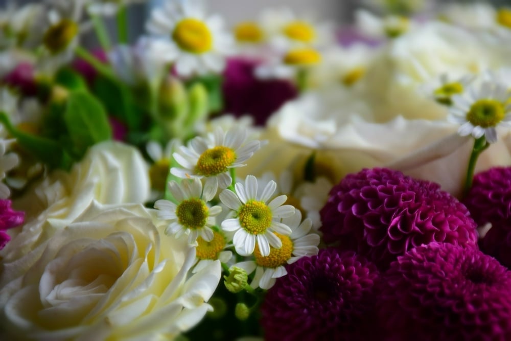 Mark Cuban called this flower startup his 'Shark Tank' regret — now it ...