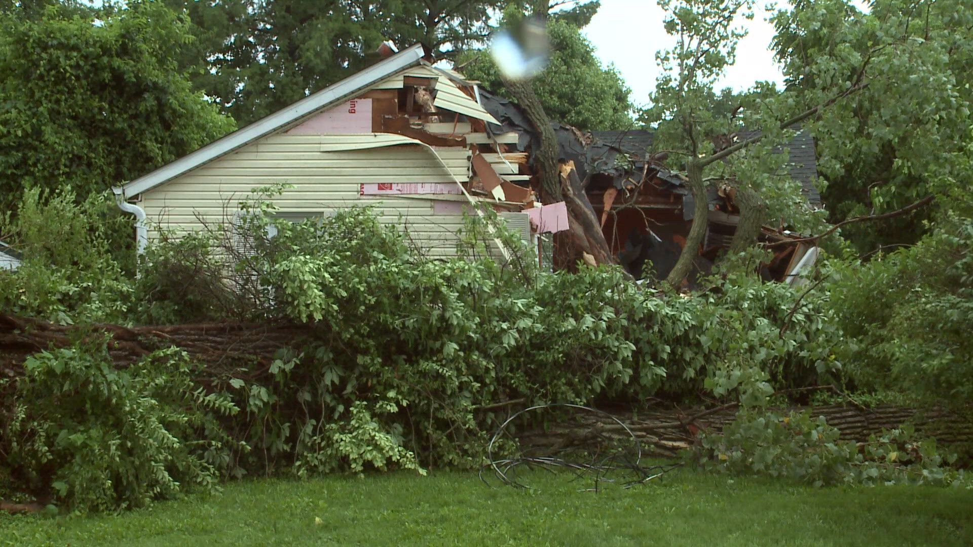 Large tree falls into home in north St. Louis County