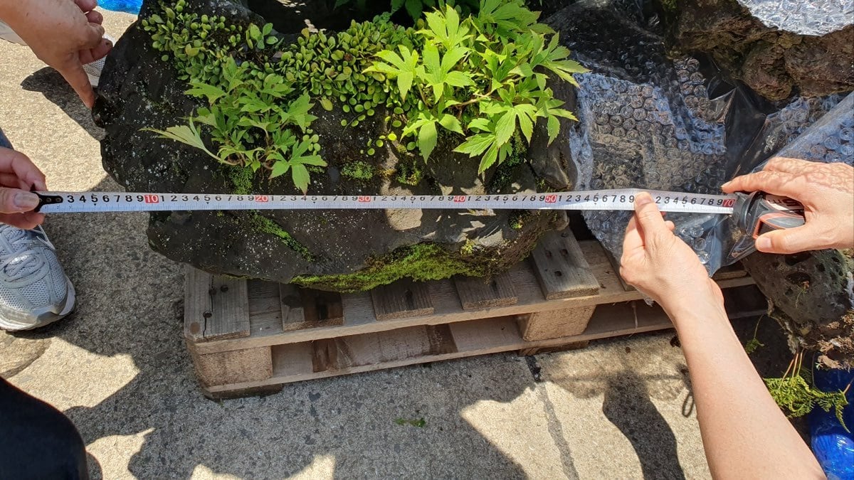 Protected Jeju Stones: 60s Man Caught Transporting
