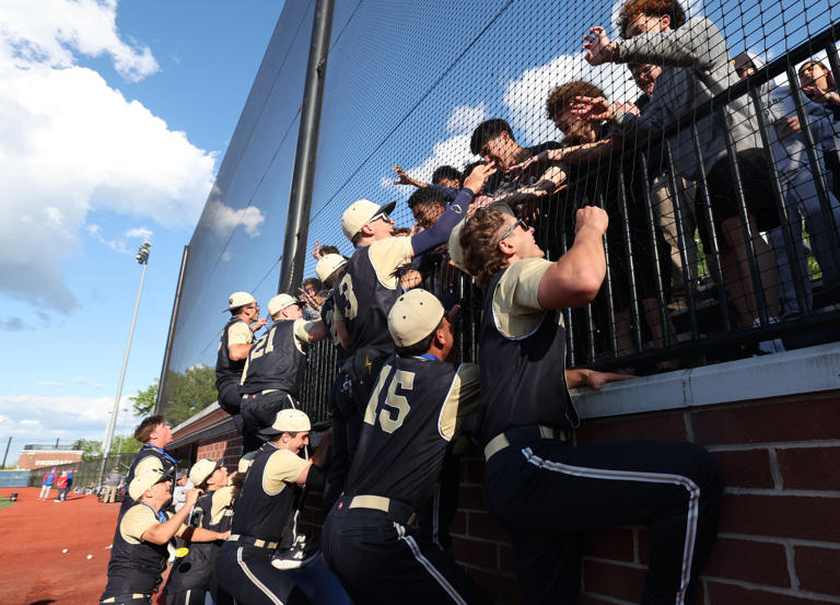 Utica Notre Dame baseball catches fire at right time for Class B crown ...
