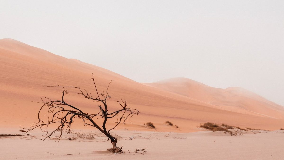 8 desert travel tips to keep you safe in extreme conditions
