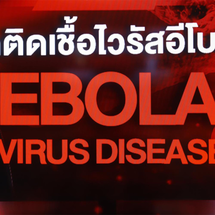Emerging viruses