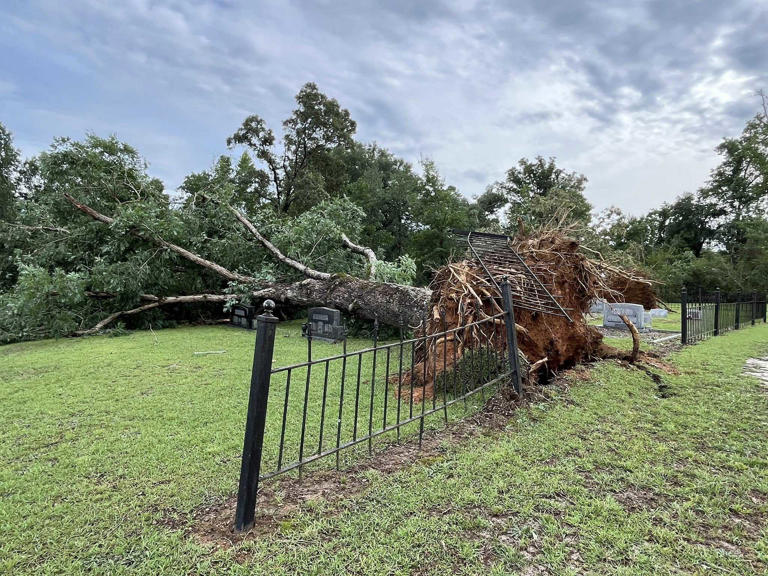 Reports of storm damage from hail and downed trees in parts of the ...